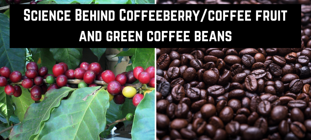 Coffeeberry and Green Coffee Beans: Game Changing Ingredients for ...