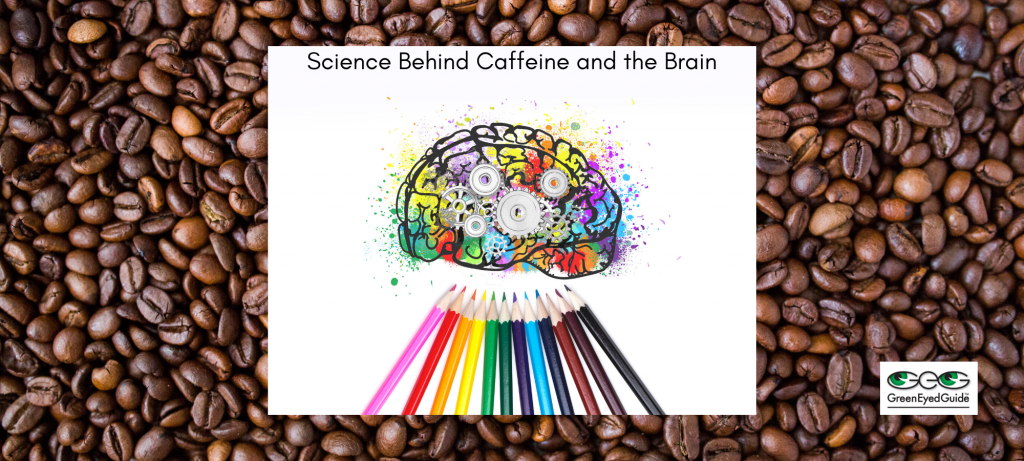 Caffeine Effects on the Brain - Part 1 - GEG Research and Consulting