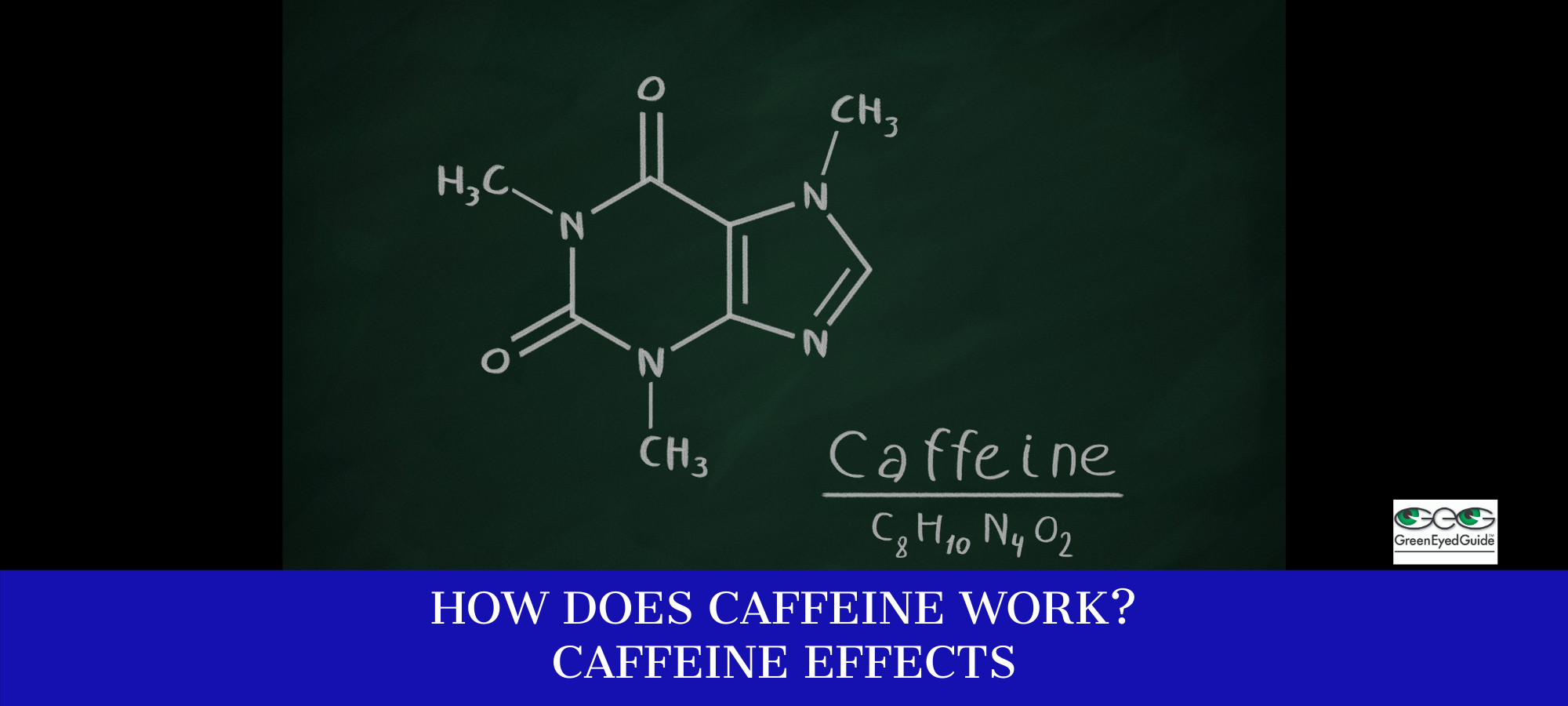 Caffeine Science | GEG Research and Consulting